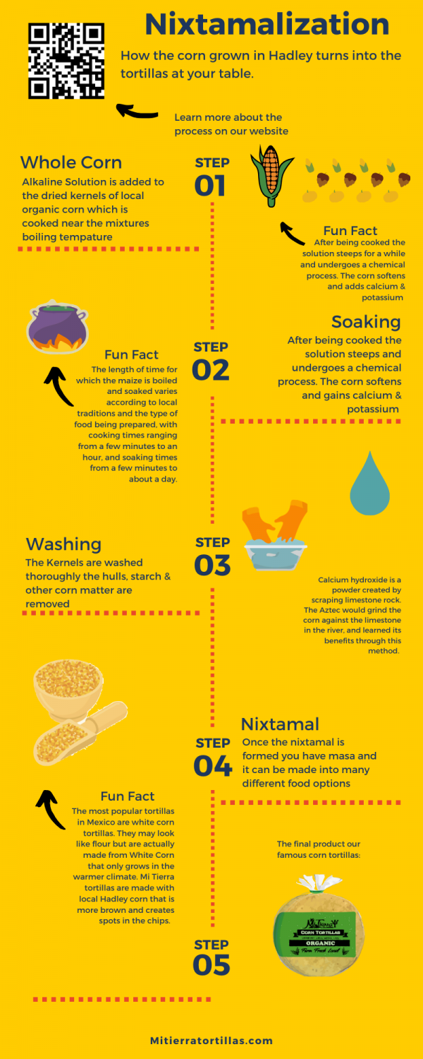 Nixtamalization – Mi Tierra Tortillas